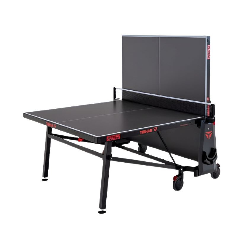 Table de ping-pong en résine mobile - Table ping-pong